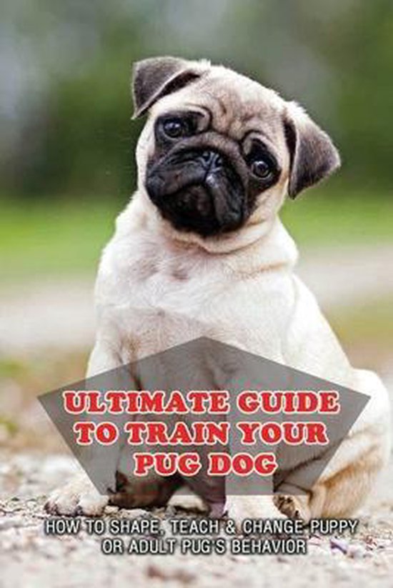 Ultimate Guide To Train Your Pug Dog, Yelena Wardrip | 9798451247709 ...