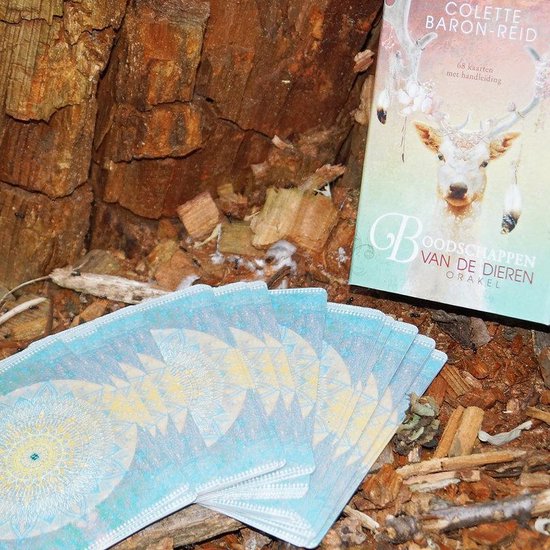 Boodschappen van de Dieren, Collette Baron-Reid | 9789085082392 ...