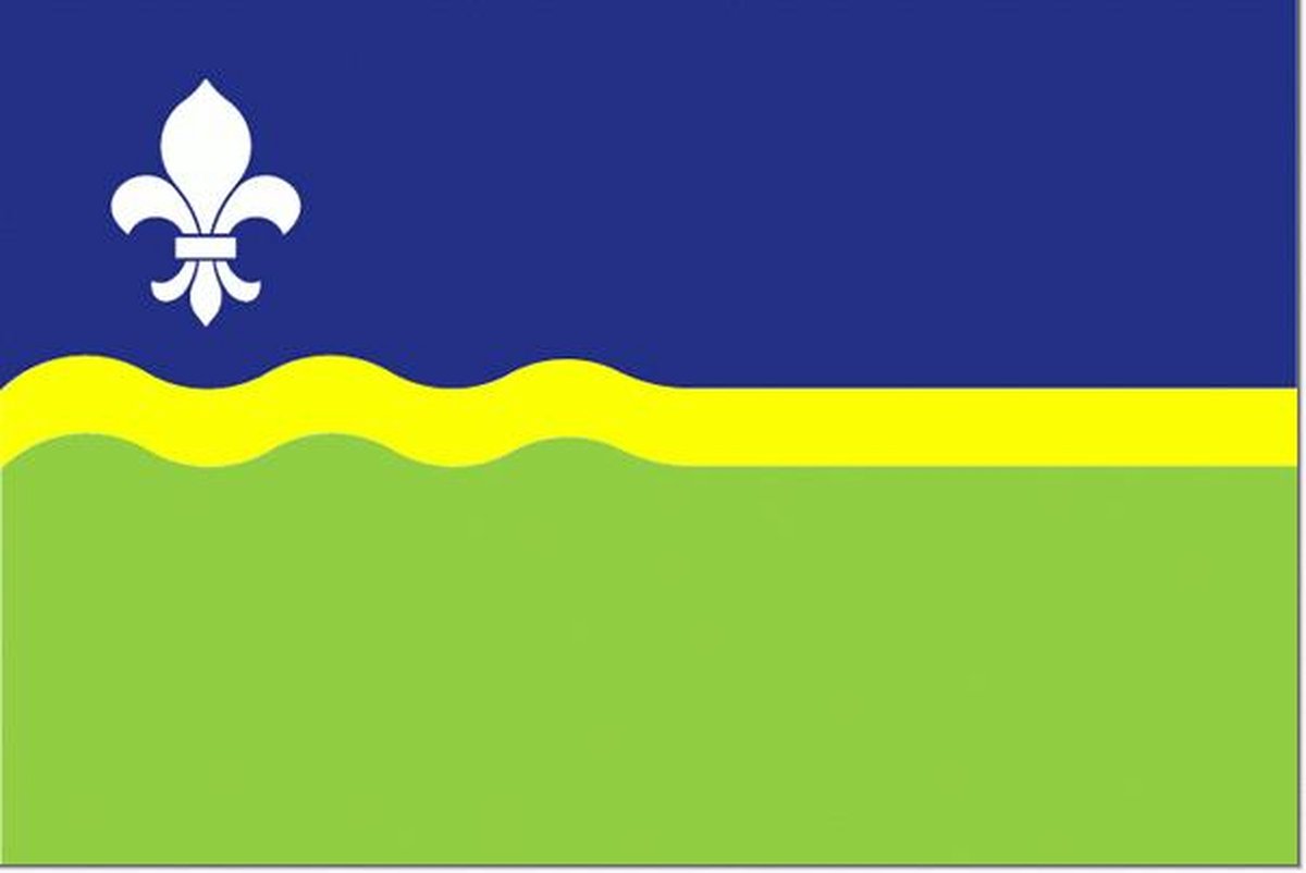 Vlag Flevoland 100x150cm | bol.com
