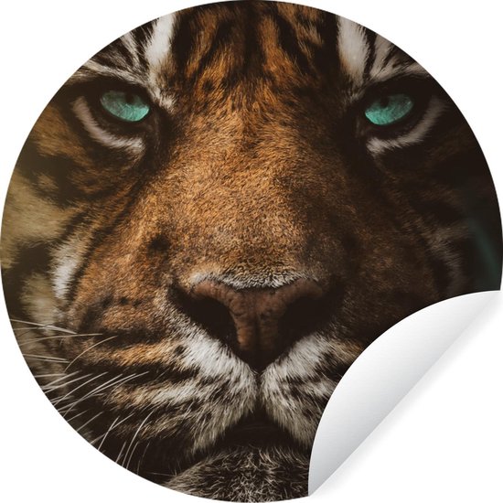 WallCircle - Muurstickers - Behangcirkel - Dieren - Tijger - Wild - ⌀ 30 cm -... | bol