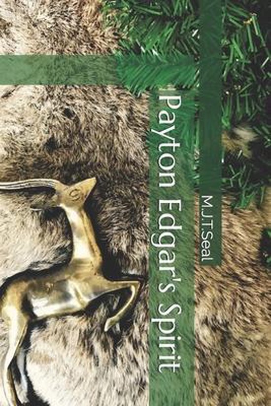 Payton Edgar's Spirit, M J T Seal | 9781976133763 | Boeken | bol.com