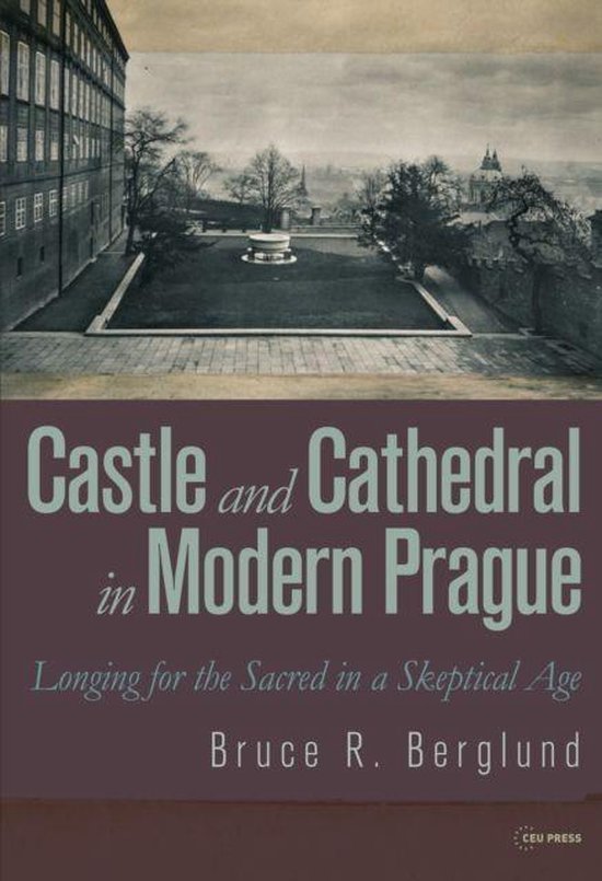 Castle and cathedral (ebook), Bruce R Berglund | 9789633862360 | Boeken ...