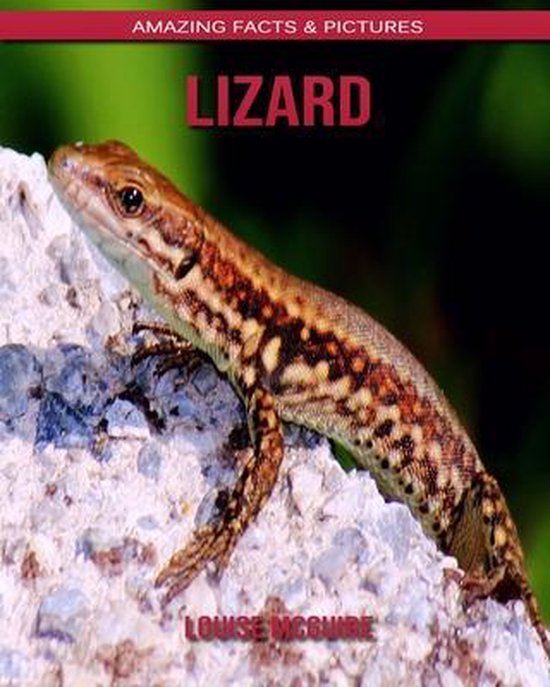 Lizard, Louise Mcguire | 9798644693436 | Boeken | bol.com