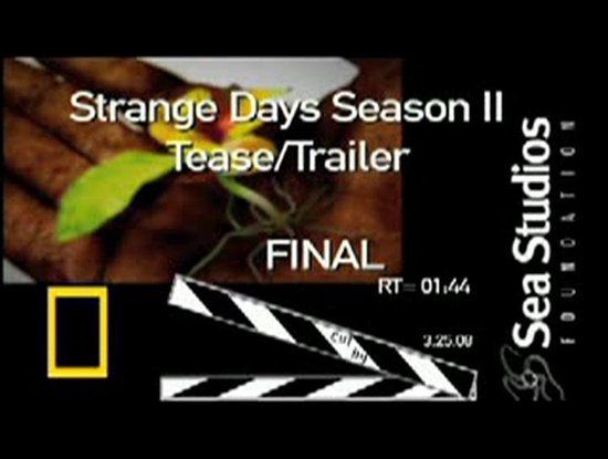 Strange Days On Planet Earth (Dvd), Edward Norton | Dvd's | bol