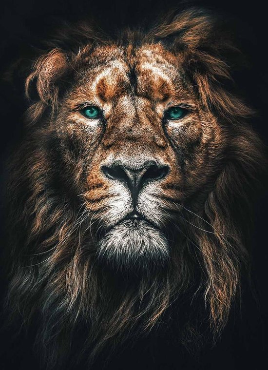 Leeuw op Canvas - WallCatcher | Staand 100 x 150 cm | Lion op ...