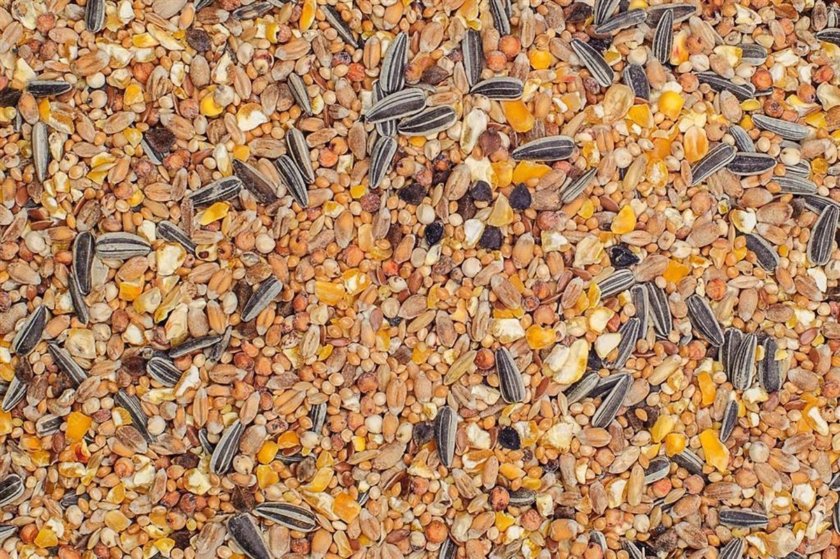 Strooivoer 20 kg | bol