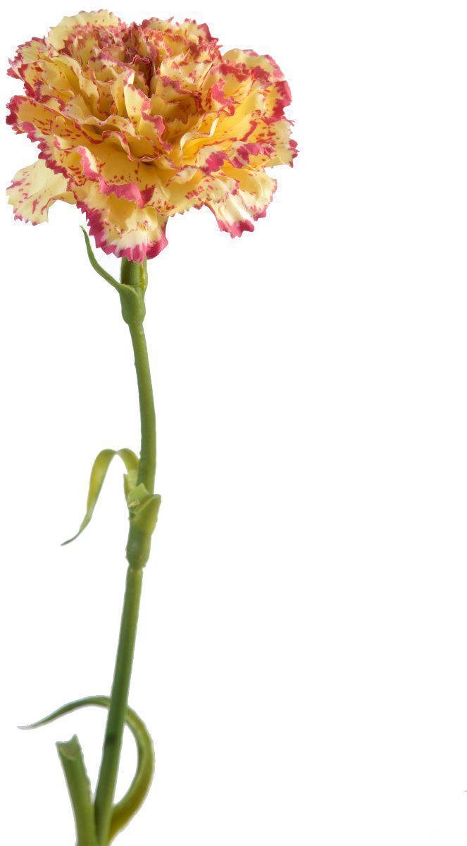 Viv! Home Luxuries Anjer - zijden bloem - geel met rood - 53cm ...