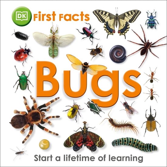 First Facts - First Facts Bugs (ebook), Dk | 9780241427675 | Boeken ...