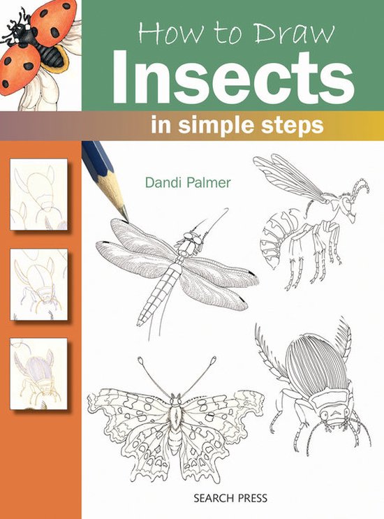 How To Draw Insects In Simple Steps, Dandi Palmer | 9781844484478 ...