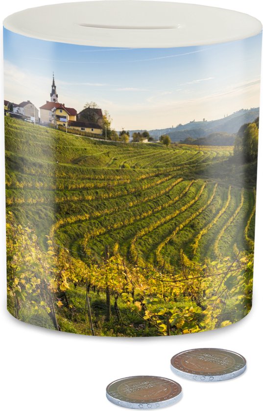 Spaarpot - Spaarblik - Wijngaarden in Svetinje in Slovenië ...
