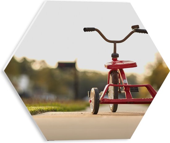 WallClassics - PVC Schuimplaat Hexagon - Rode Driewieler op Voetpad ...