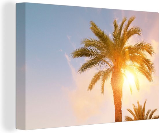 Canvas schilderij 140x90 cm - Wanddecoratie Palmboom - Zomer - Zon - Tropical -... | bol
