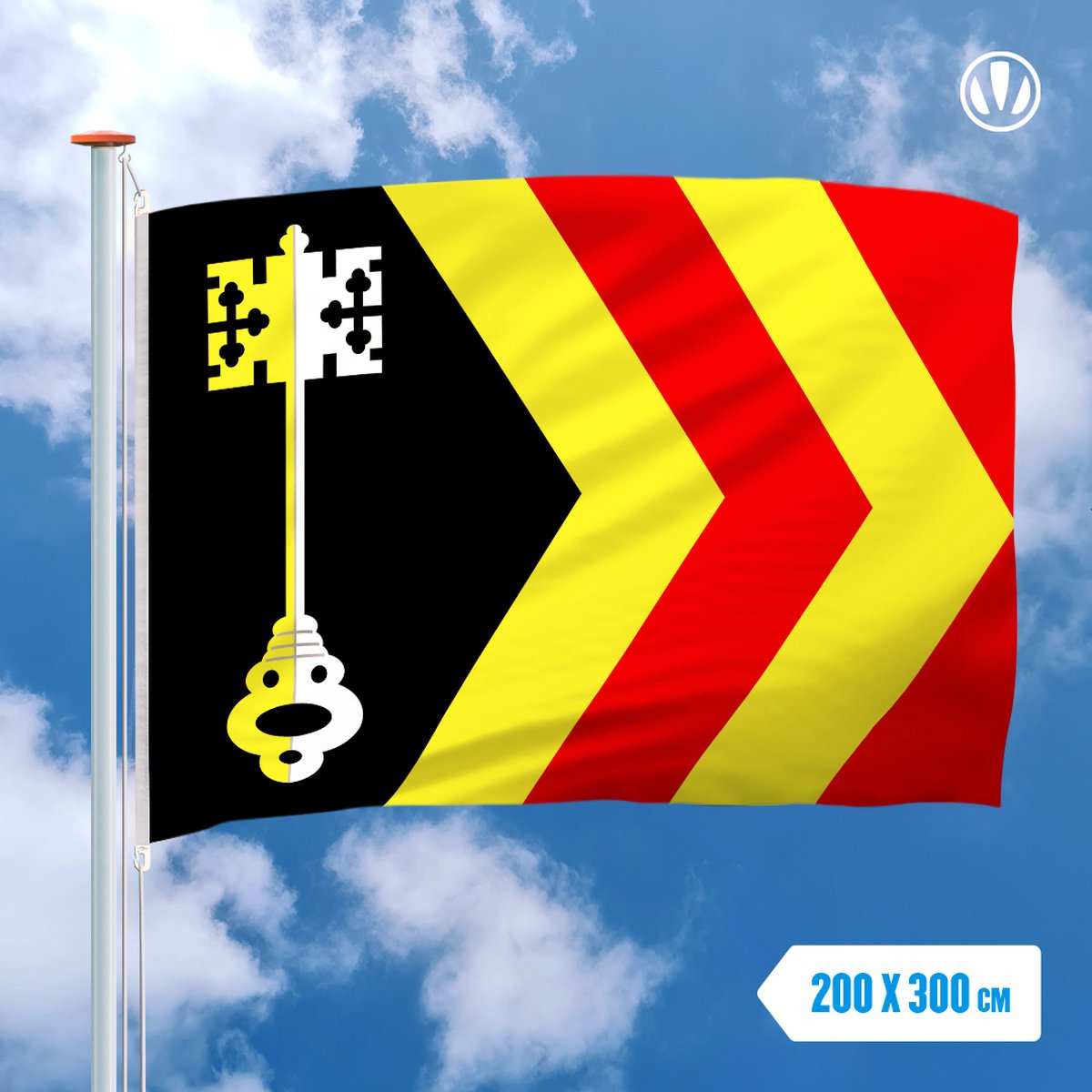 Vlag Bladel 200x300cm | bol
