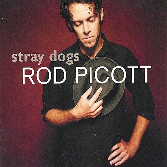 Rod Picott - Stray Dogs (CD), Rod Picott | Muziek | bol