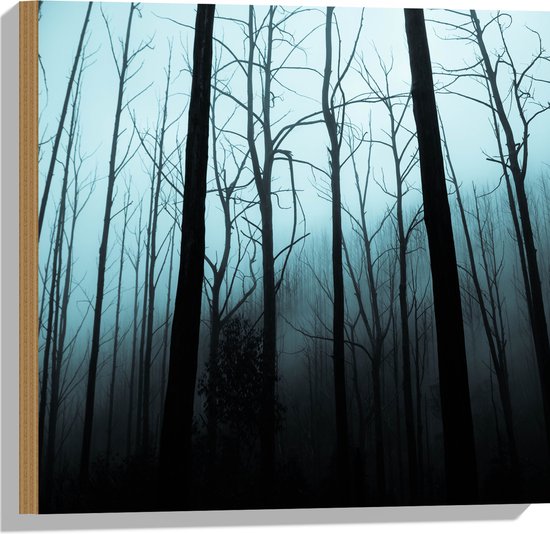 WallClassics - Hout - Duister Bos - 50x50 cm - 12 mm dik - Foto op Hout ...