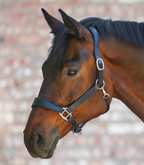 Waldhausen X-Line Leather Halter Anatomic | Cob | bol