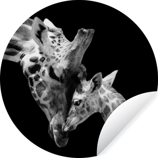 Behangcirkel - Wilde dieren - Giraffe - Familie - Zwart - Wit - Zelfklevend behang - ⌀... | bol