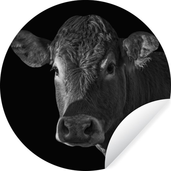 WallCircle - Behangcirkel - Zelfklevend behang - Dieren - Koe - Zwart - Wit - 80x80 cm... | bol