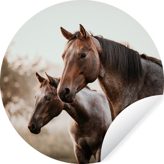 WallCircle - Muurstickers - Behangcirkel - Paarden - Natuur - Bruin - 100x100 cm -... | bol