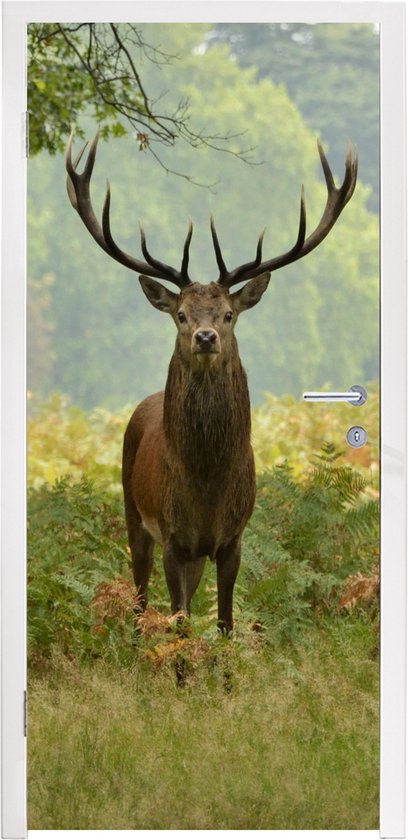 Deurposter 80x215 cm - Deursticker Edelhert - Natuur - Groen ...