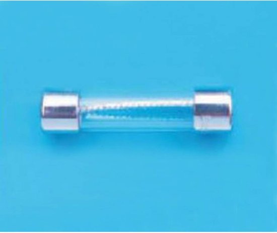 Belfuse Buiszekering 15 A 250 V 100 stuk(s) Bulk | bol.com