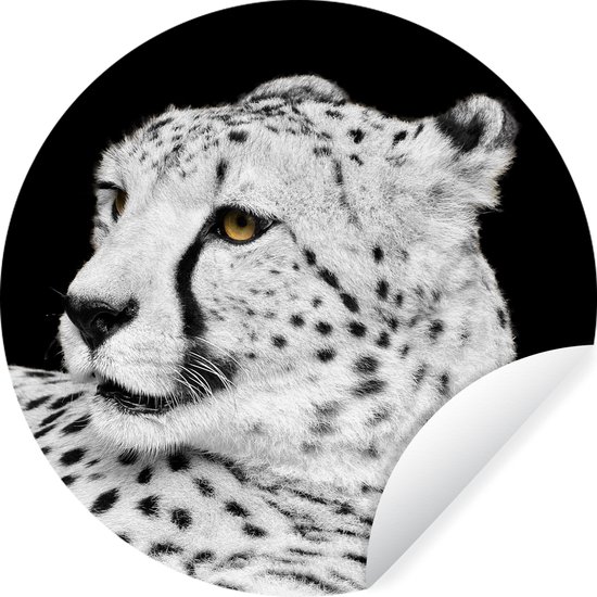 WallCircle - Muurstickers - Behangcirkel - Luipaard - Wit - Zwart - ⌀ 30 cm -... | bol