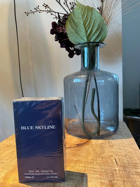 Eau de Toilette - Heren - Blue Skyline | bol.com