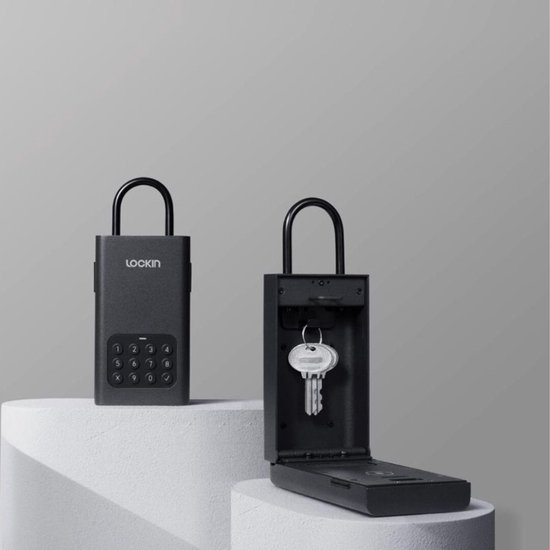 Thuys Sleutelkluis - kluis brandwerend - kluisje met cijferslot ...