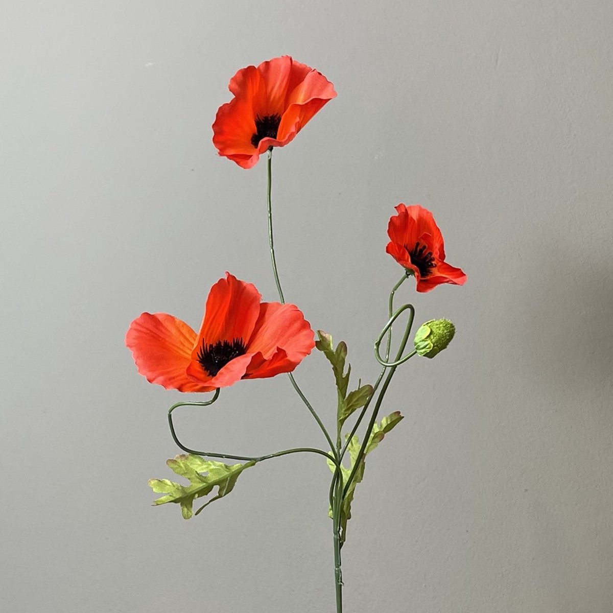 Seta Fiori - Zijden klaprozen - 3 takken - rood - Kunstbloemen - Rozen - Kunst... | bol.com