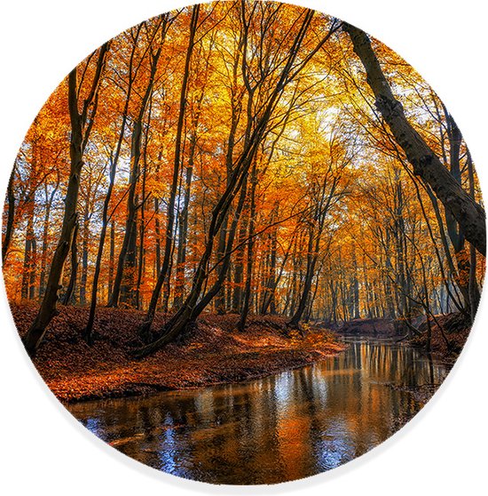 Mur Cercle Forêt Rivière | bol.com