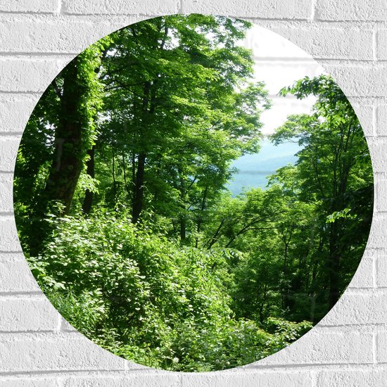 WallClassics - Muursticker Cirkel - Groene Blaadjes aan de Takken in ...