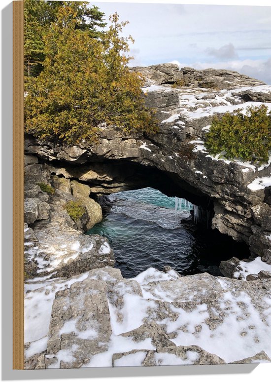 WallClassics - Hout - Grot met Bomen boven Water - 40x60 cm - 12 mm dik ...