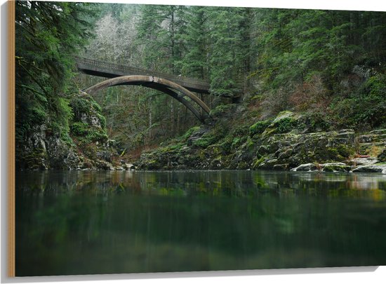 WallClassics - Hout - Moulton Falls Bridge - Brug in het Bos - 100x75 ...
