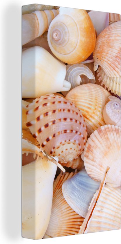 Canvas - Schilderij - Schelpen - Oranje - Strand - Kamer decoratie ...