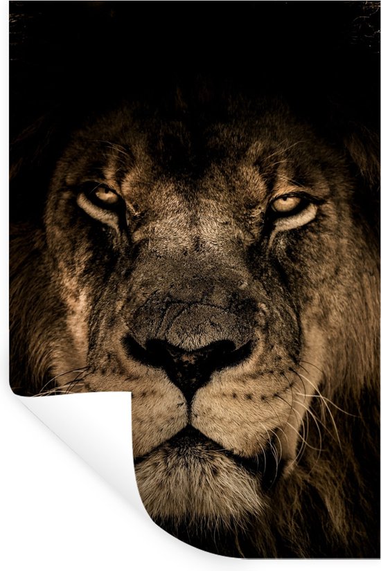 Muurstickers - Sticker Folie - Leeuw - Dieren - Zwart - Portret - 40x60 cm - Plakfolie... | bol