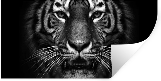 Muurstickers - Sticker Folie - Tijger - Dieren - Zwart - Wit - Portret - Wild - 120x60... | bol