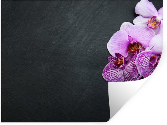Muurstickers - Sticker Folie - Orchidee - Bloemen - Roze - Flora - 120x90 cm -... | bol