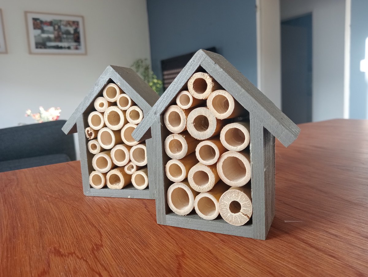 Mini Insectenhotels - Set van 2 stuks - Grijs/Taupe - Tiny House ...
