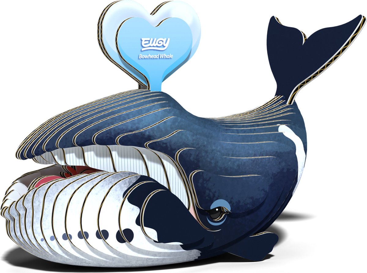 Eugy 3D Model: ZEEDIER / GROENLANDSE WALVIS 8.6x4.2x6.3cm, in karton ...