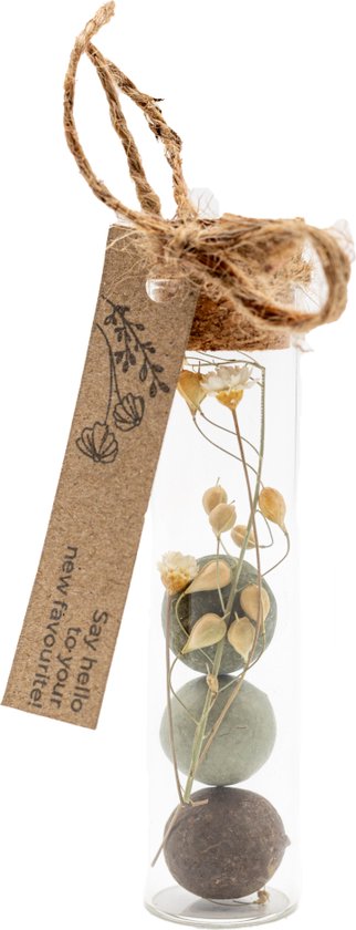 Blossombs in glas - 3 stuks bloembommetjes - cadeau - moederdag ...