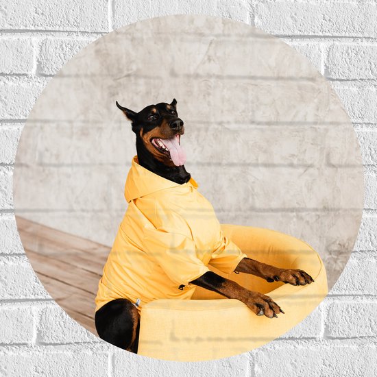 WallClassics - Muursticker Cirkel - Blije Hond met Gele Jas - 60x60 cm ...