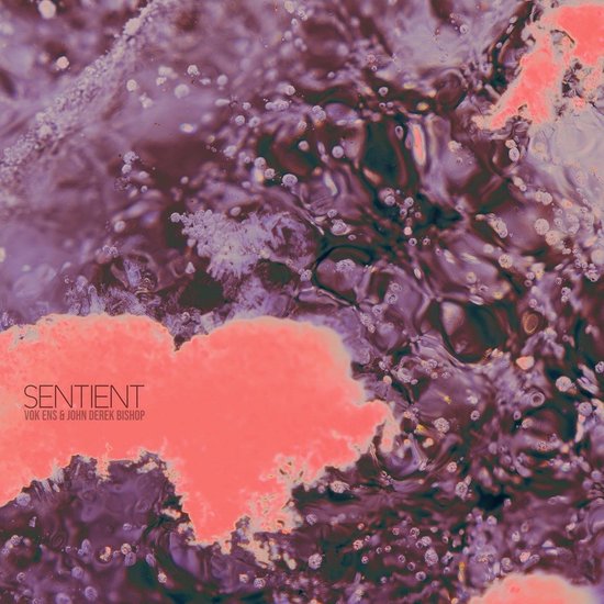 Bishop & Ens - Sentient (CD), Bishop & Ens | Muziek | bol