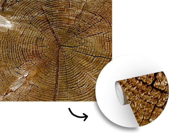 Behang - Fotobehang Een doorsnede van een boomstam met duidelijke ...