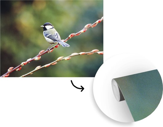 Behang - Fotobehang Dunne takjes waar een koolmees uitrust - Breedte ...