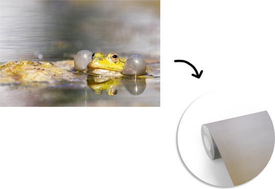 Behang - Fotobehang Close-up van een kwakende kikker - Breedte 420 cm x ...