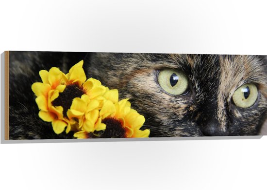 WallClassics - Hout - Zwarte Poes met Gele Bloemen - 120x40 cm - 9 mm ...