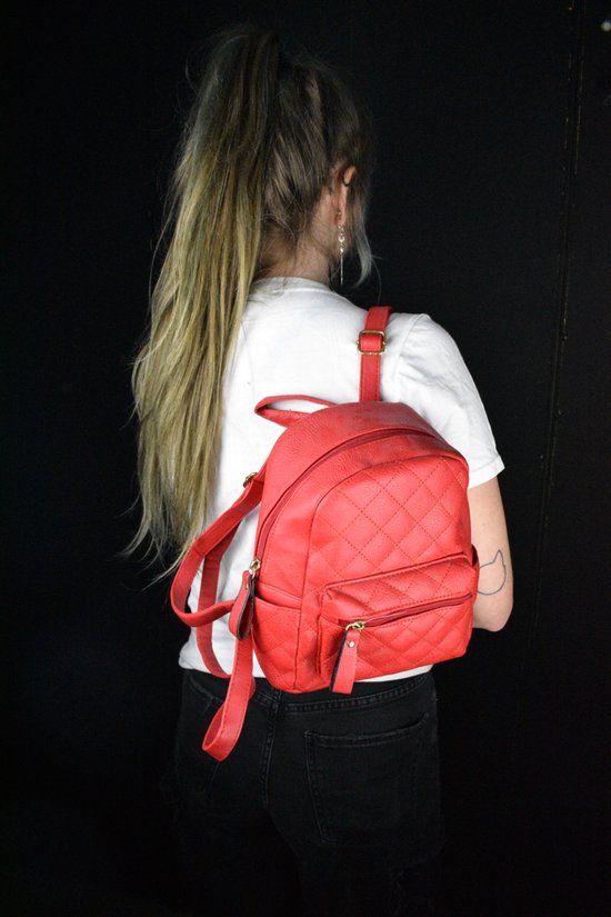 Leuke kleine rode rugzak, luxe rugzak, rugzakje, rood geruit, poppy ...