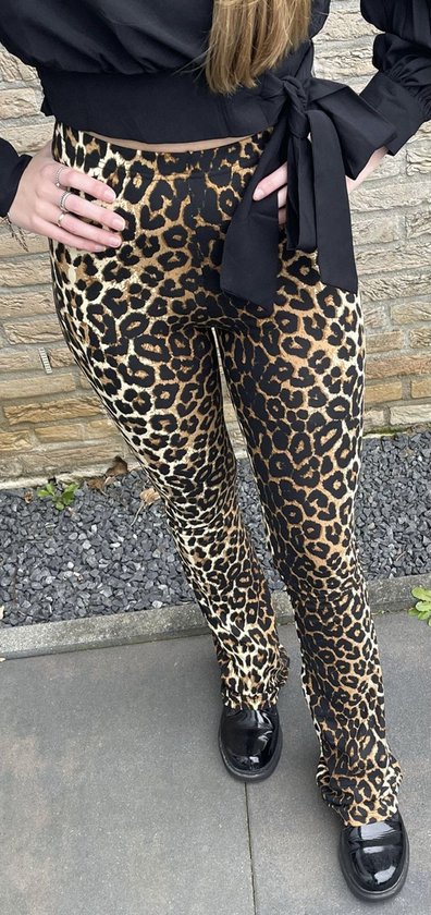Ambika flared broek|Panterprint|Flared broek dames|Ambika|Maat M | bol.com