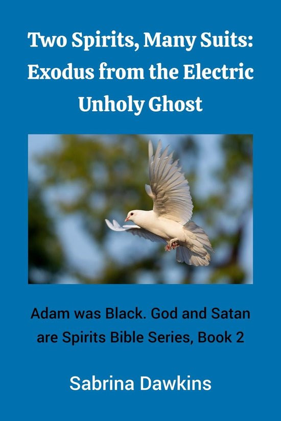 Adam was Black. God and Satan are Spirits Bible Series 2 - Two Spirits ...
