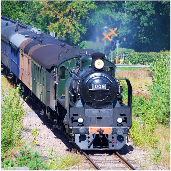 WallClassics - Poster (Mat) - Trein tussen Struiken - 50x50 cm Foto op ...